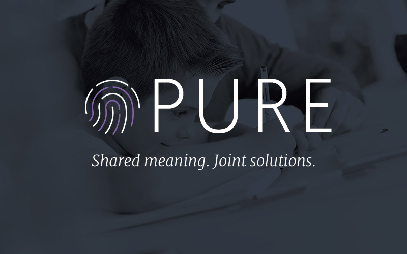 Pure Psychology | Shared meaning. Joint solutions.